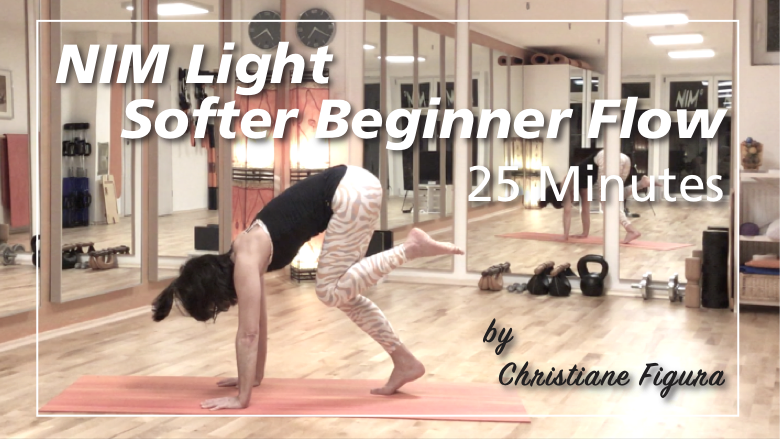 NIM Beginner Flow/Light (25 Minutes) - NIM Academy